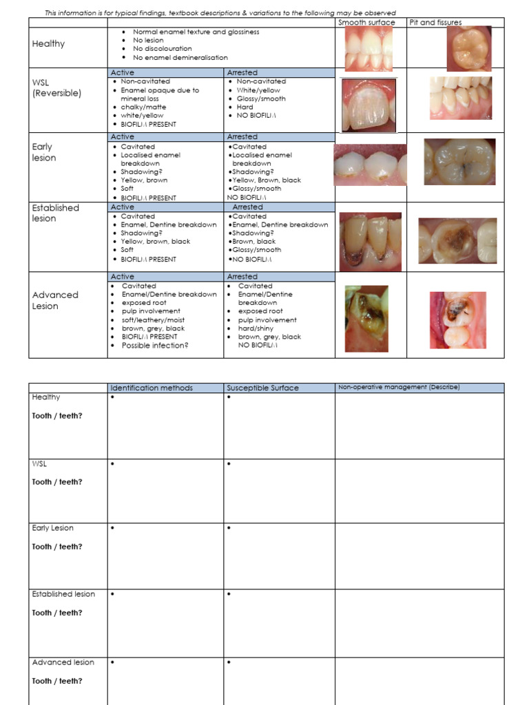 Caries Revision Worksheet FINAL | PDF | Tooth Enamel | Human Tooth