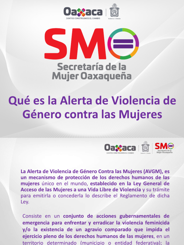 Qué Es La AVGM | PDF