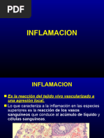 Etapas de La Inflamacion PDF | PDF | Inflamación | Inmunología