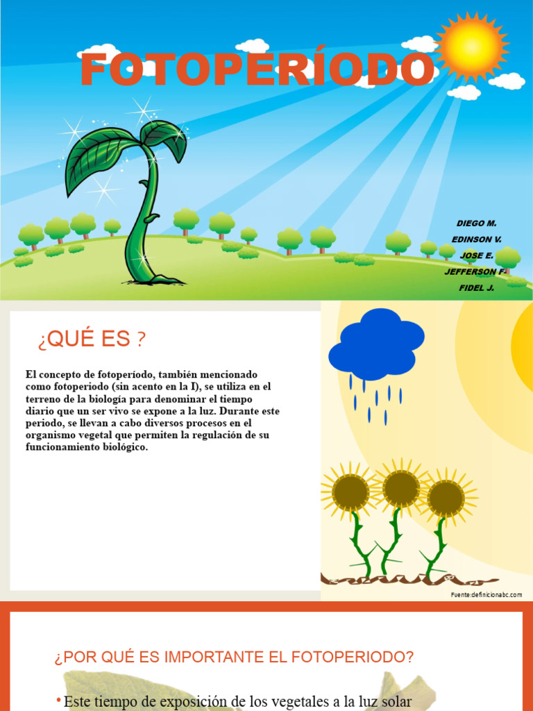 fotoperiodo (1) | PDF | Plantas | Raíz