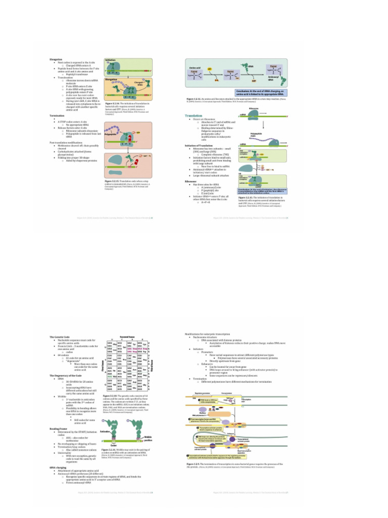 Genetics Module 3 Lesson 2 | PDF
