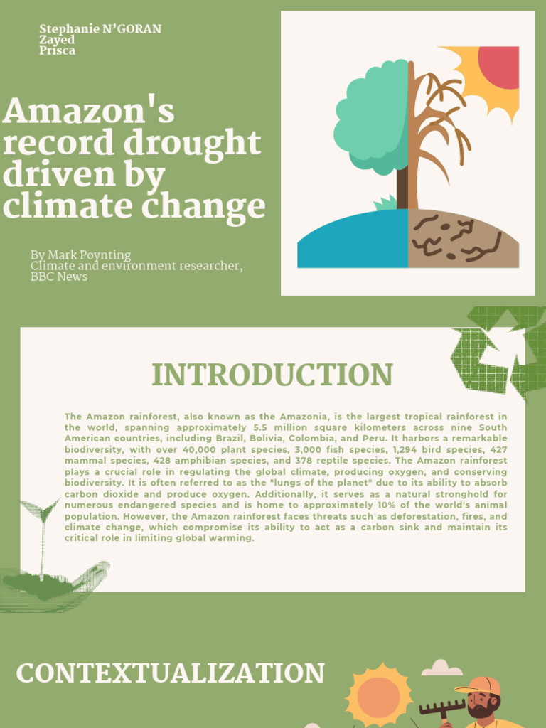 Amazon's | PDF | Amazon Rainforest | Drought