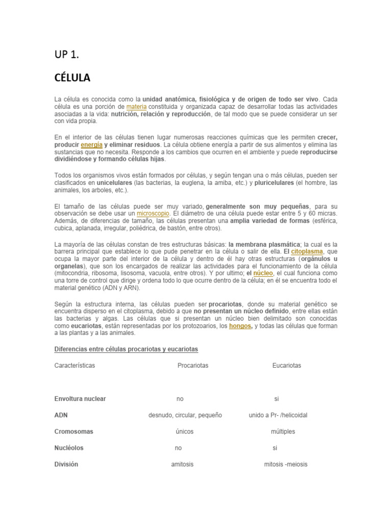 UP-1 CYD | PDF | Biología Celular) | Membrana celular