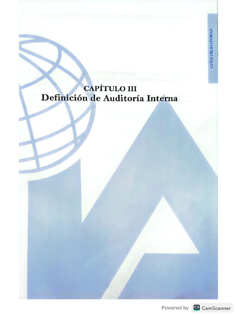 Cap 3. Definicion de La Auditoria Interna IIA | PDF