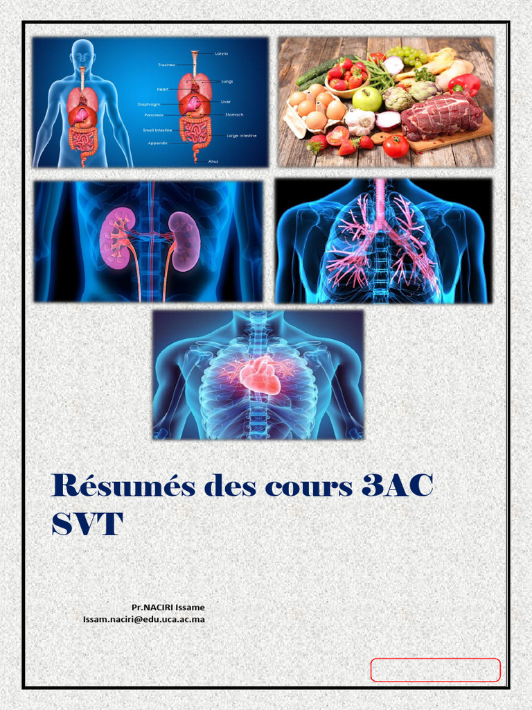 Résumé des cours SVT 3AC | PDF | Sang | Nutriments