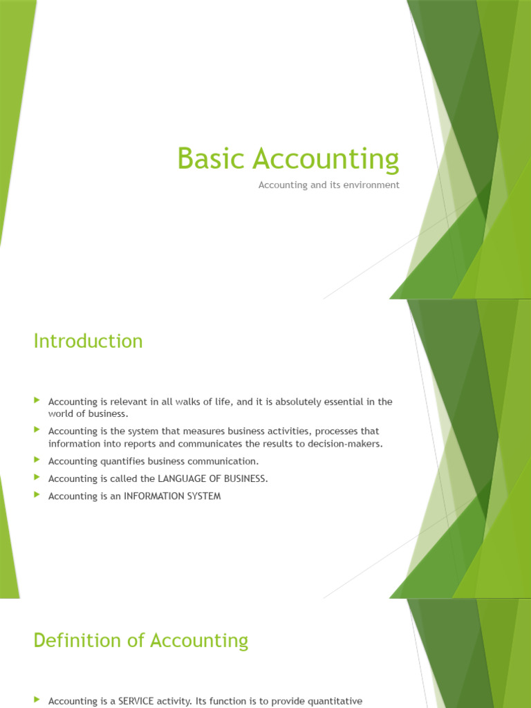 Understanding Basic Accounting Principles | PDF | Accounting | Audit