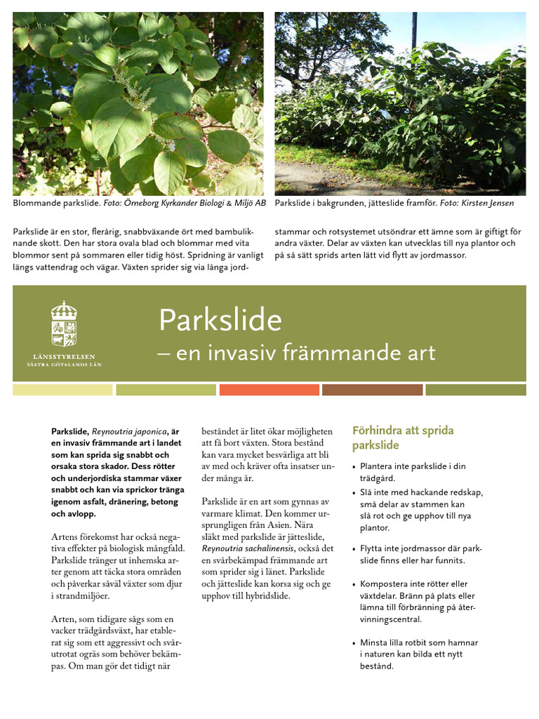 Parkslide | PDF