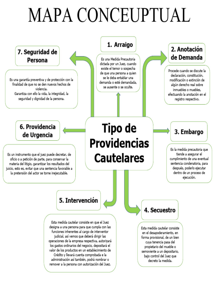 MAPA CONCEUPTUAL Tipo de Providencias Cautelares | PDF | Mandato | Gobierno