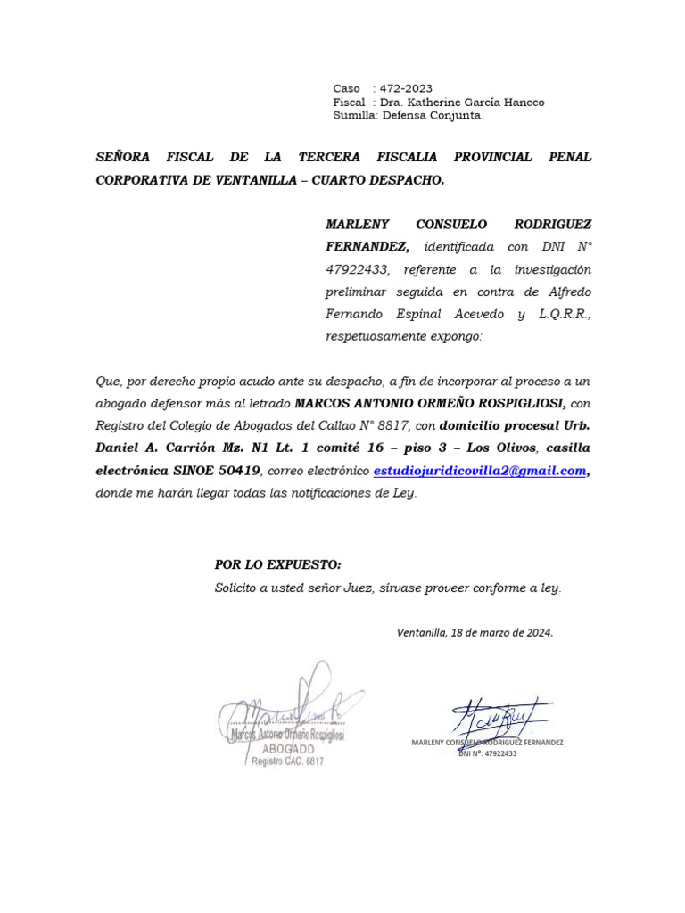 Defensa Conjunta | PDF