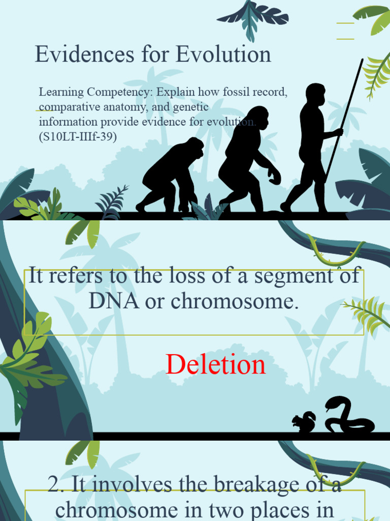 Evolution | PDF | Geologic Time Scale | Homology (Biology)