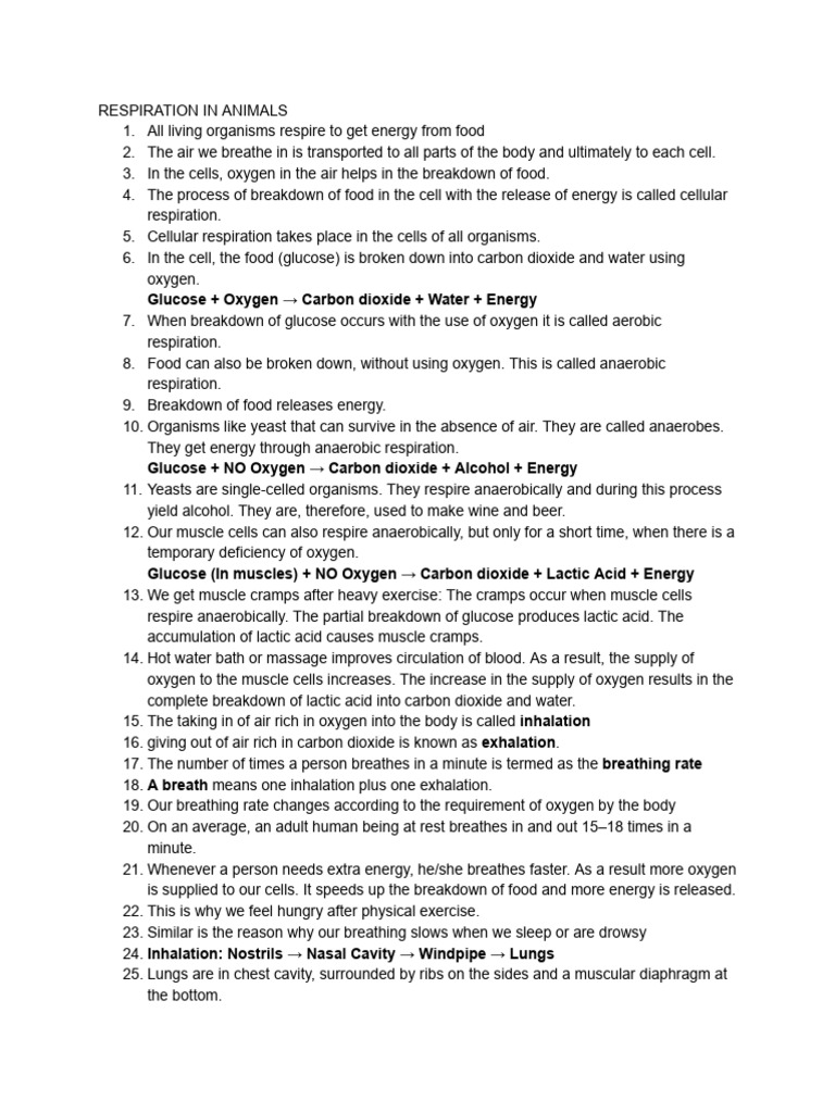 Respiration in Animals | Download Free PDF | Cellular Respiration ...
