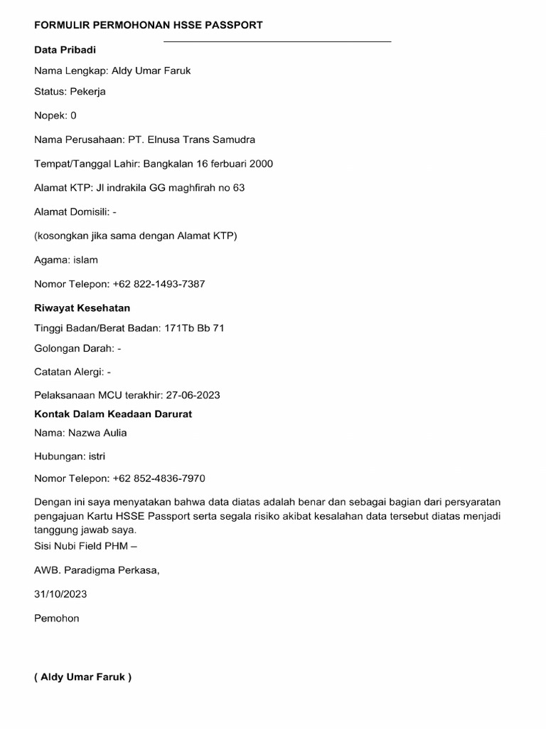 Formulir Permohonan Hsse Passport | PDF