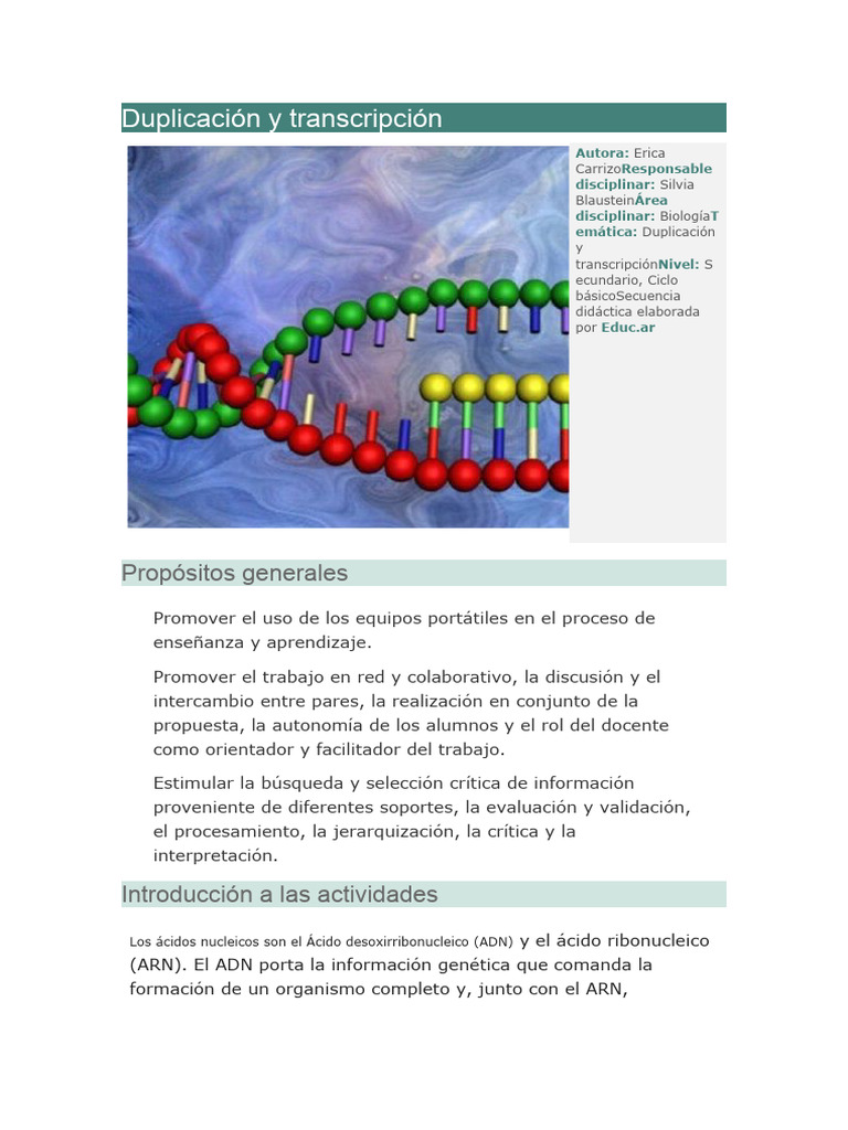 Duplicación y Transcripción: Propósitos Generales | PDF | Adn | Rna