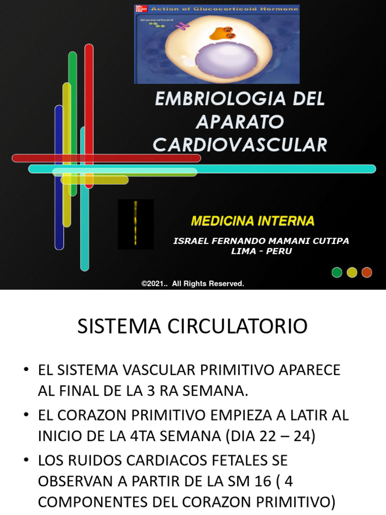 EMBRIOLOGIA CARDIOVASCULAR----TEORIA2 (1) | PDF