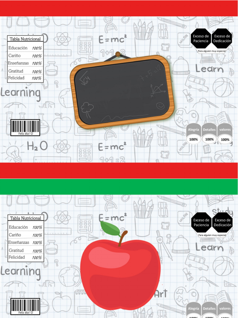 Dia Del Maestro Chip Bag - Ev | PDF