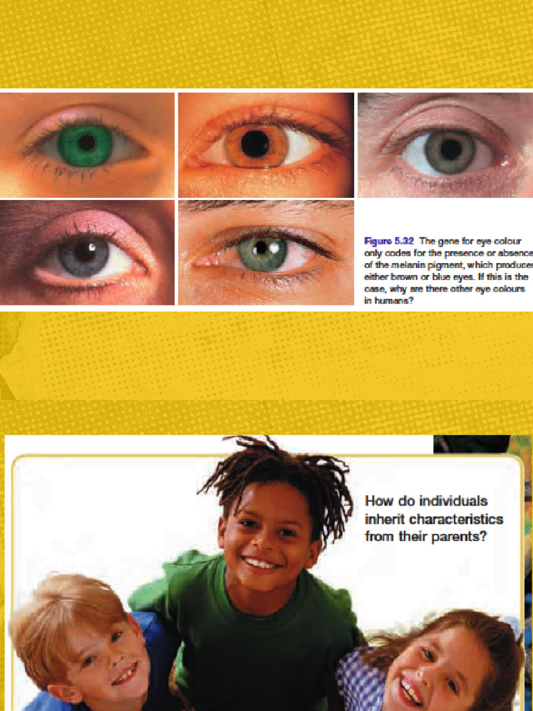 DNA Central Dogma Protein Synthesis | PDF | Rna | Translation (Biology)