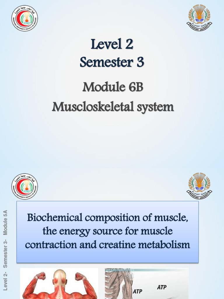 L1 Biochemistry, Muscle Proteins | PDF | Glycogen | Adenosine Triphosphate