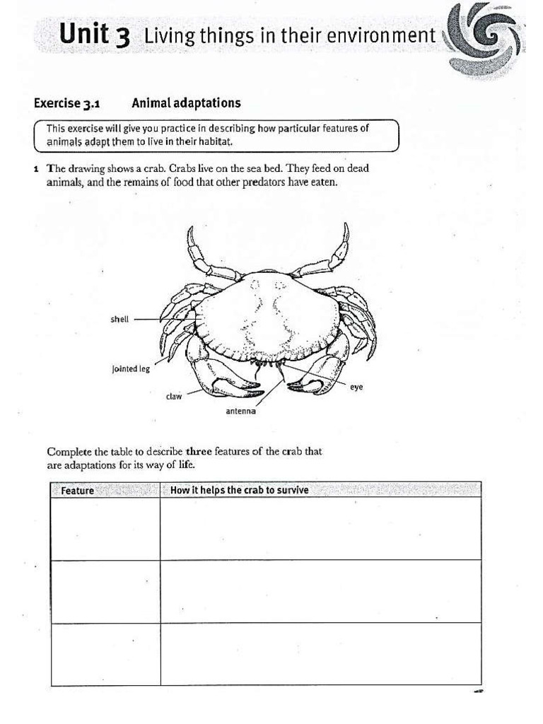 Unit 3-Living Things in Their Environment | PDF