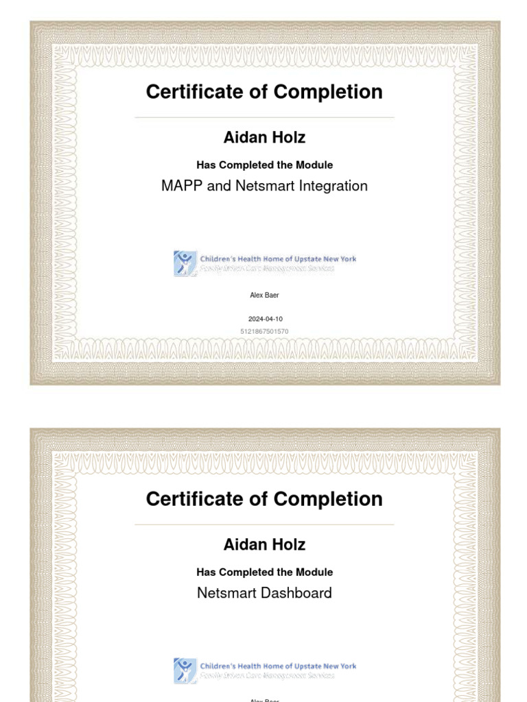 Mapp and Netsmart Integration-Compressed-Merged | PDF | Health Care | Social Programs