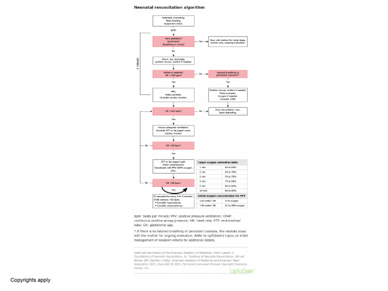 Neonatal Resuscitation Program Algorithm | PDF