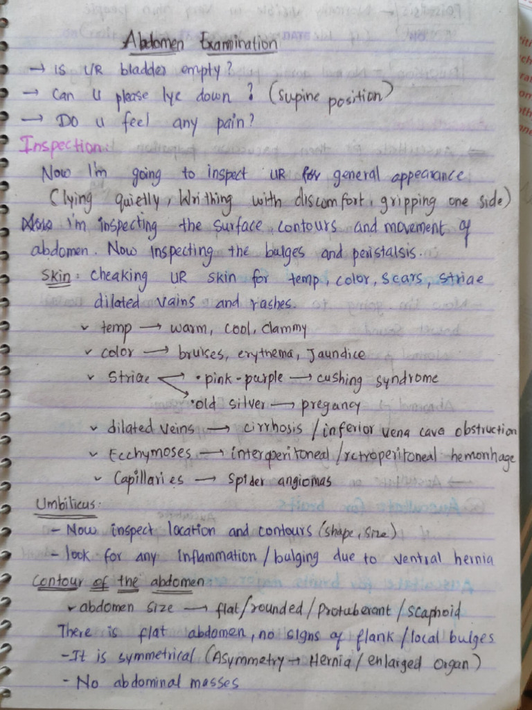 Abdomen Osce (2) | PDF | Abdomen | Anatomy