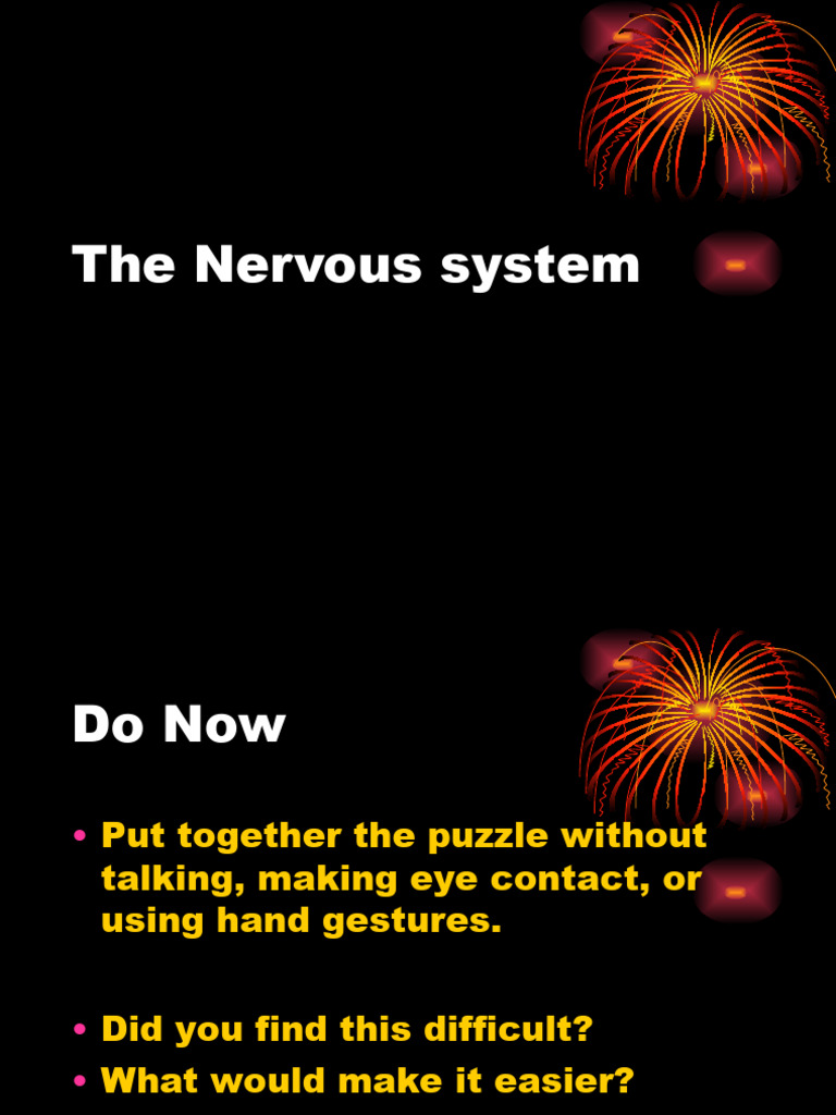 The Nervous System Powerpoint To Printout | PDF | Nervous System | Neuron