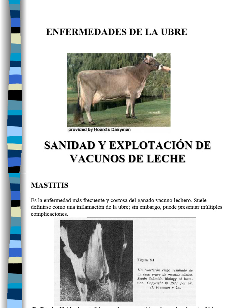 2.enfermedades de La Ubre | PDF | Infección | Patógeno