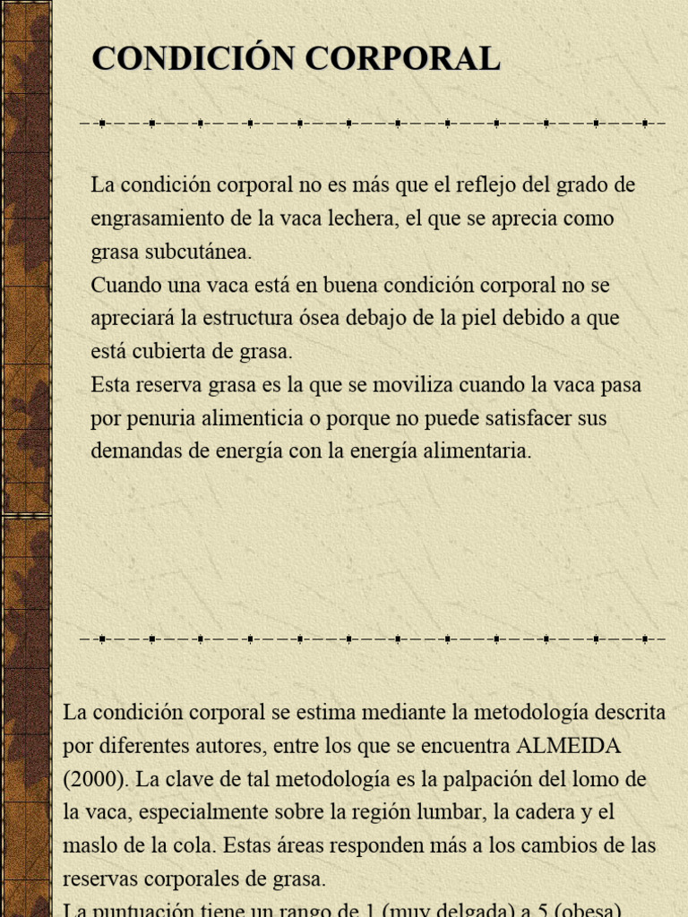 3. Condición Corporal | PDF | Amamantamiento | Hueso