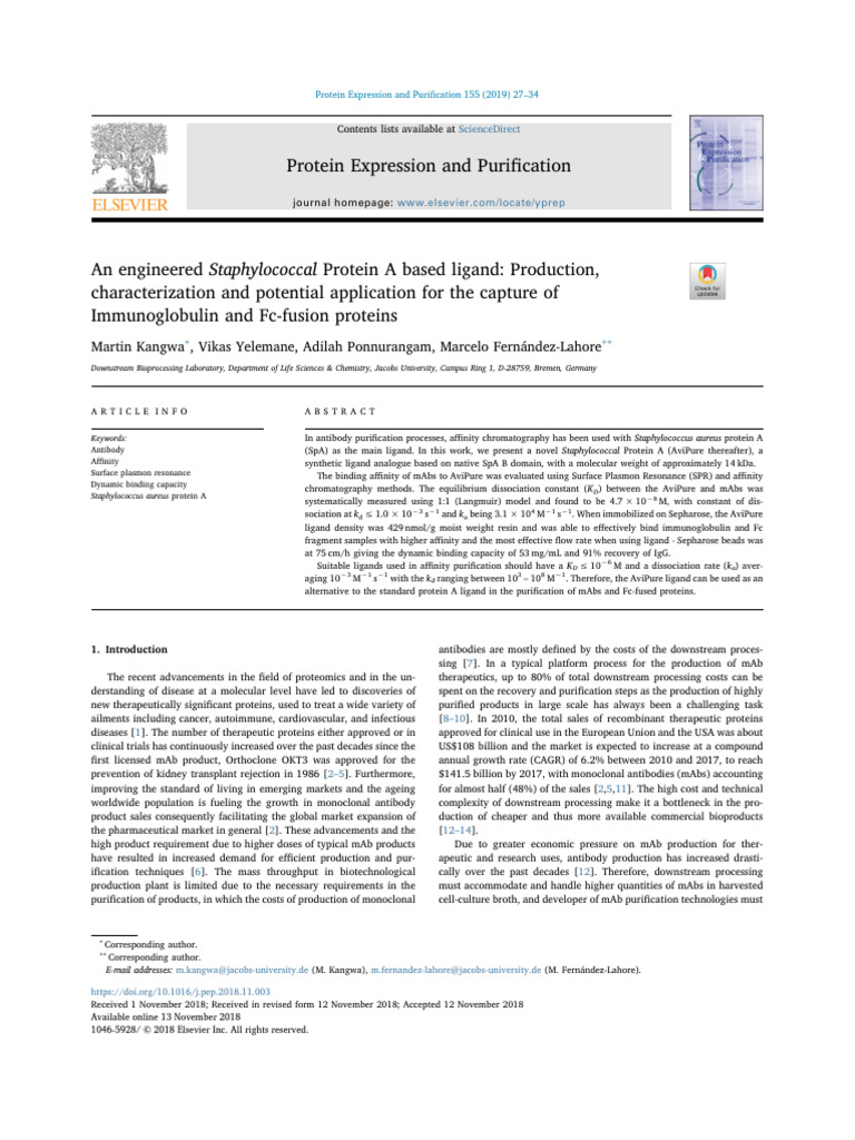 Artículo Que Dijo El Socio | PDF | Protein Purification | Monoclonal Antibody