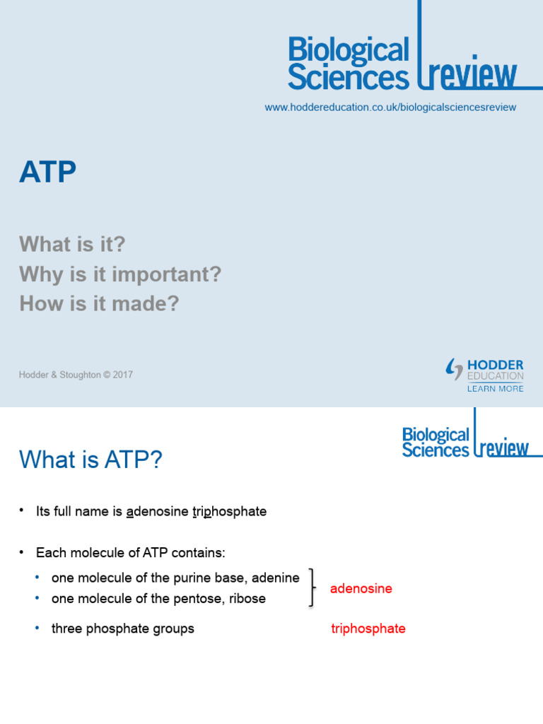 Understanding ATP: Structure and Function | PDF | Adenosine Diphosphate ...