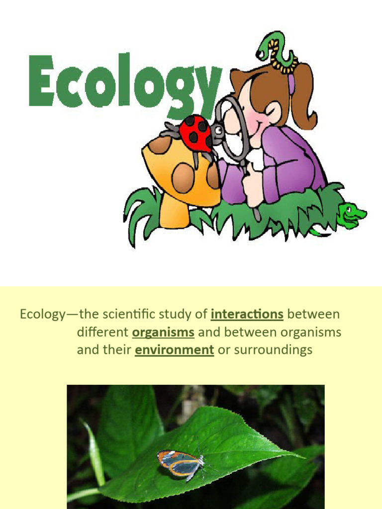 A.A Basic Concepts of Ecology | PDF | Food Web | Ecology