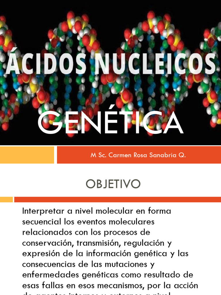 Ua 2. Genética | PDF | Adn | Rna