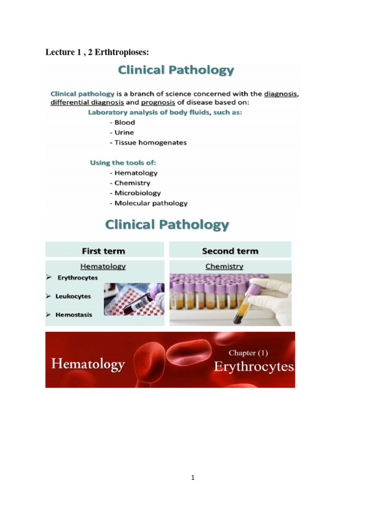 All Clinical Pathology | PDF | White Blood Cell | Glucose