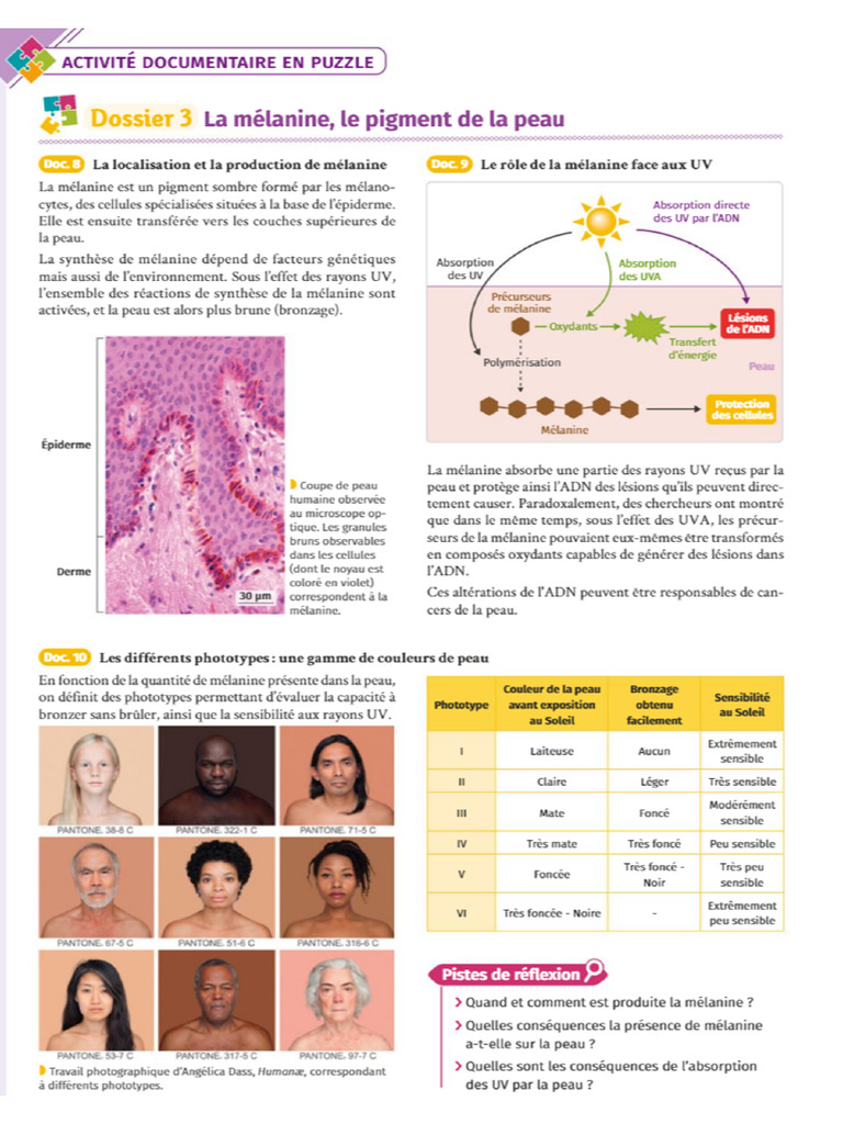 MELANINE | PDF