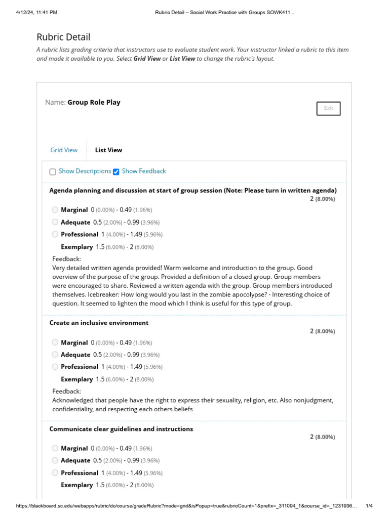 Sowk 411 Group Role Play Rubric Feedback | PDF | Rubric (Academic ...