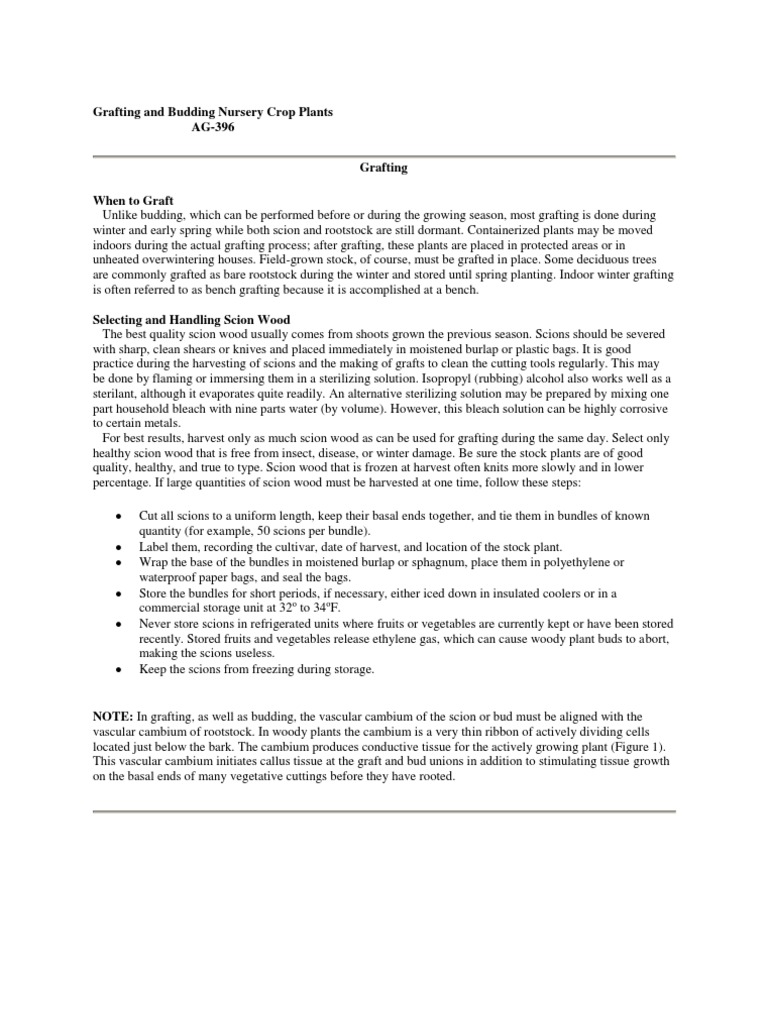 Grafting and Budding Nursery Crop Plants | PDF | Grafting ...