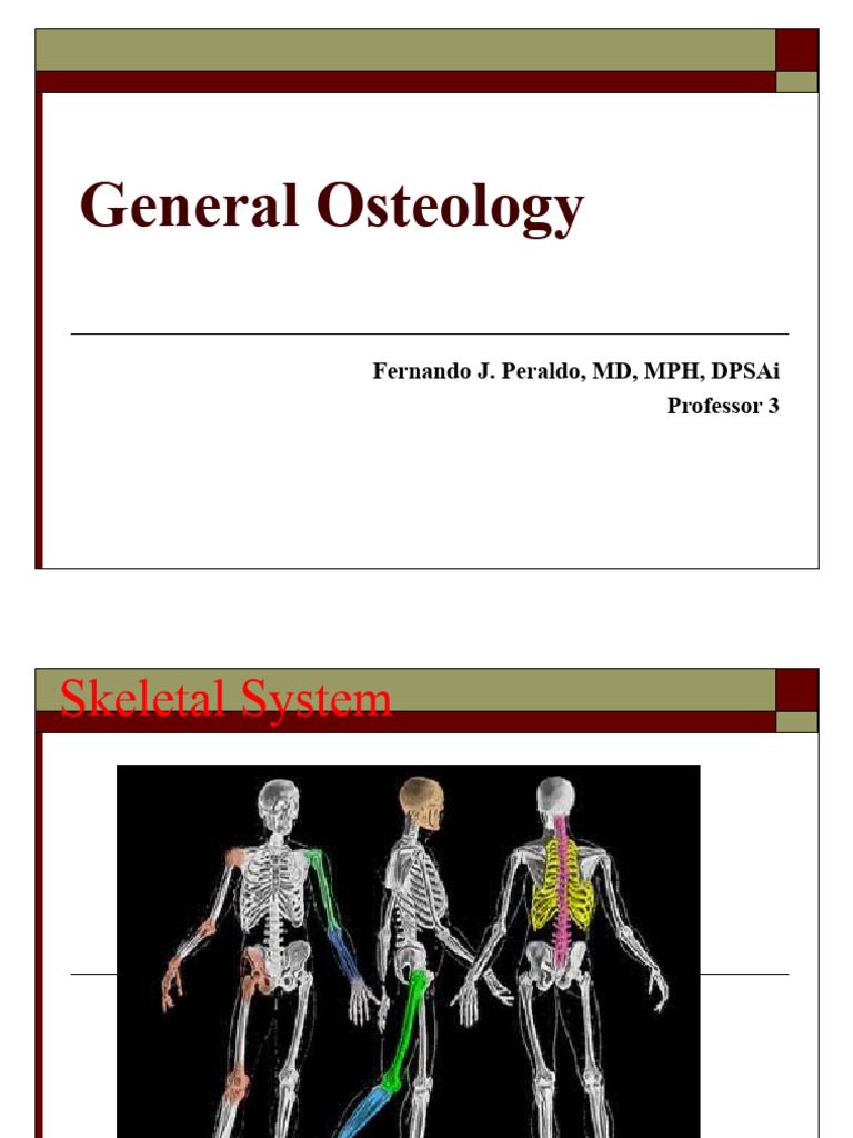 3 General Osteology | Download Free PDF | Vertebra | Skull