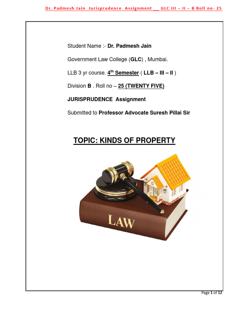 Jurisprudence Assignment - Kinds of Property | PDF | Property | Ownership