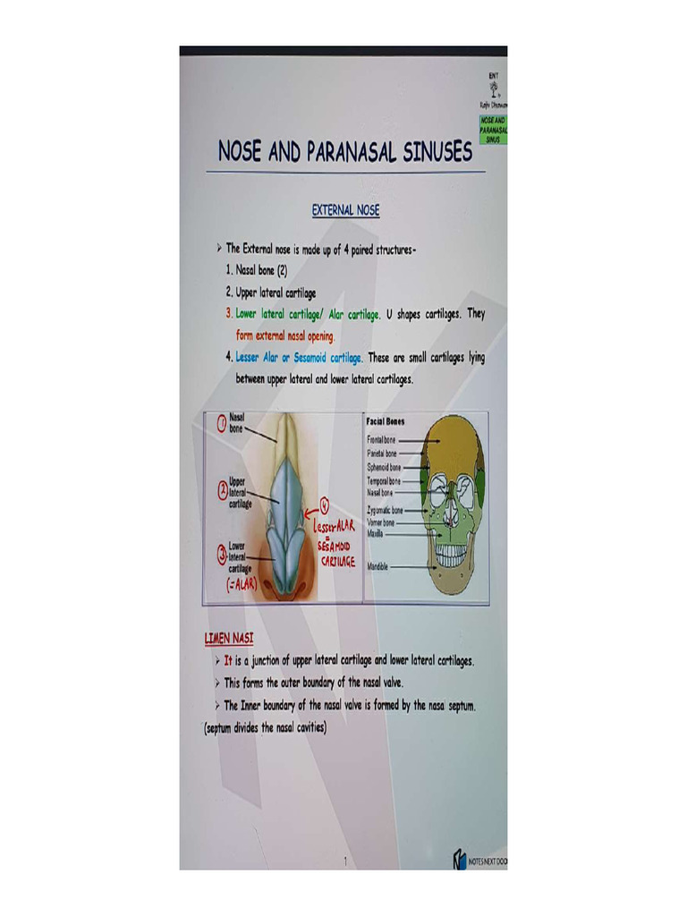 Ed2 ENT Essence by Dr. Rajiv Dhawan. | PDF