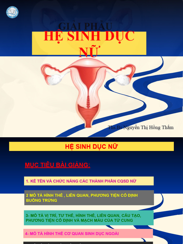 Female Reproductive System - Bs Thắm | PDF