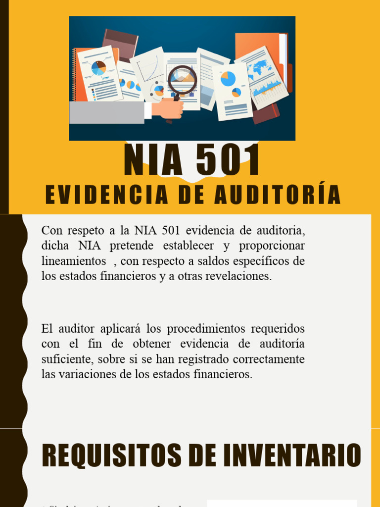 NIA 501: Evidencia de Auditoría en Inventarios | PDF | Auditoría