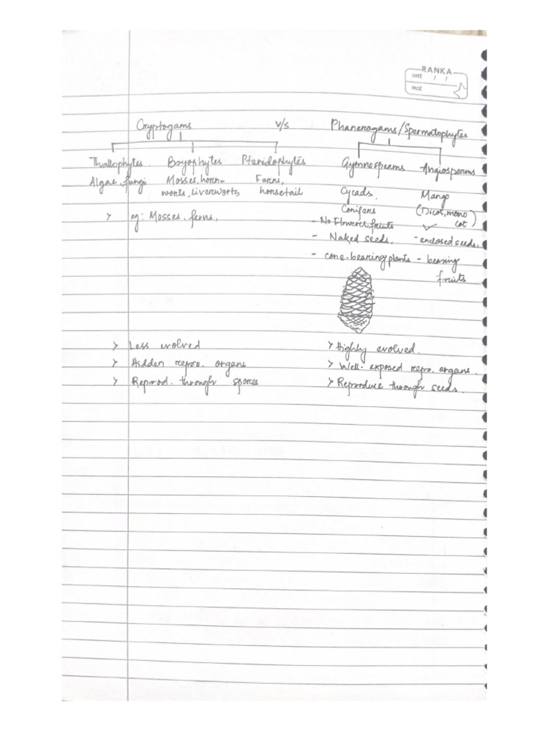 Sexual Reproduction In Flowering Plants Part 1 Pdf 8344