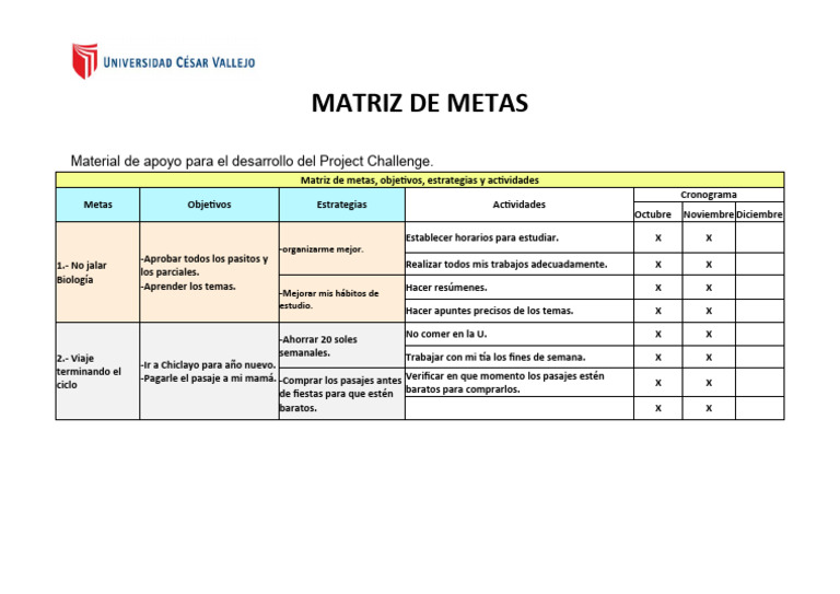 Matriz de Metas | PDF
