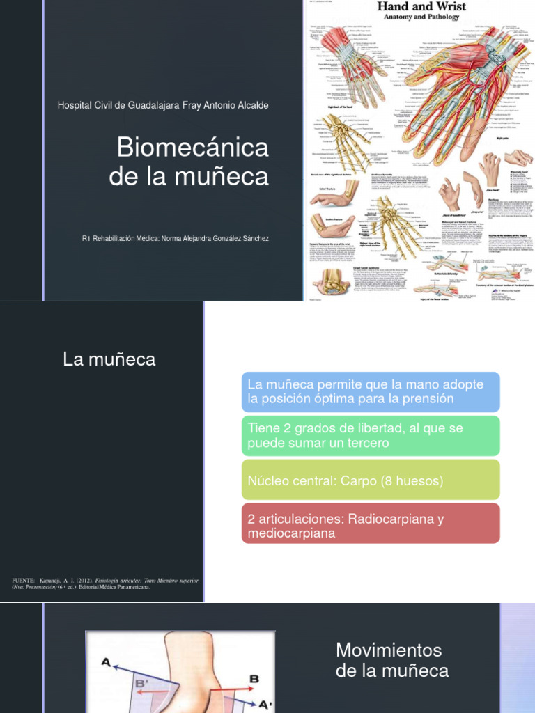 Biomec Muñeca | PDF | Anatomía | Sistema musculoesquelético