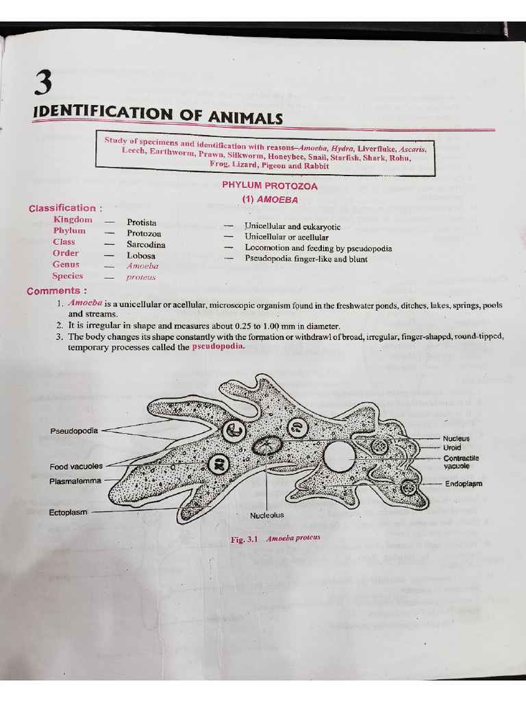 Bio Practical | PDF