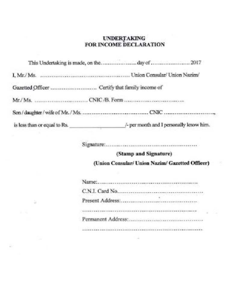 Income Declaration | PDF