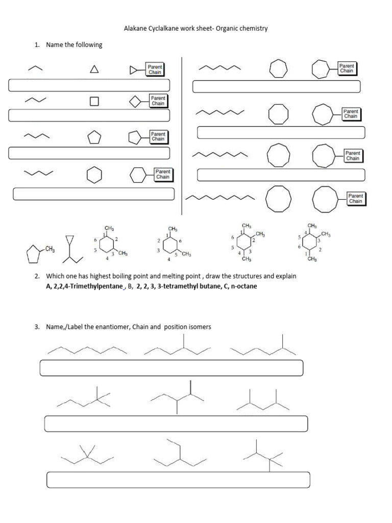 Alkanes and Cycloalkanes Worksheet Guide | PDF