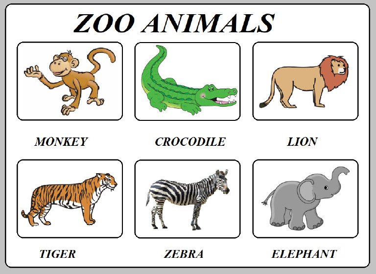 Zoo Animals Picture Vocabulary 3 | PDF