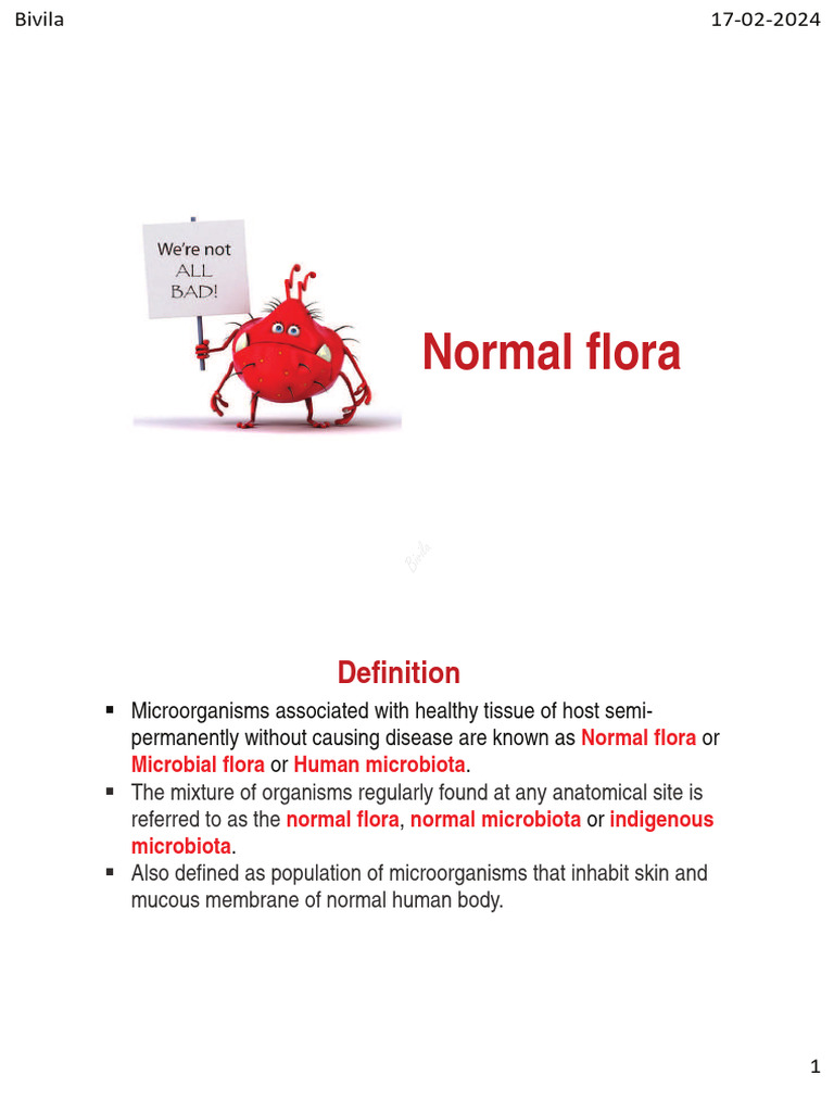 Bivila Revised Normal Flora | PDF | Gastrointestinal Tract | Microorganism