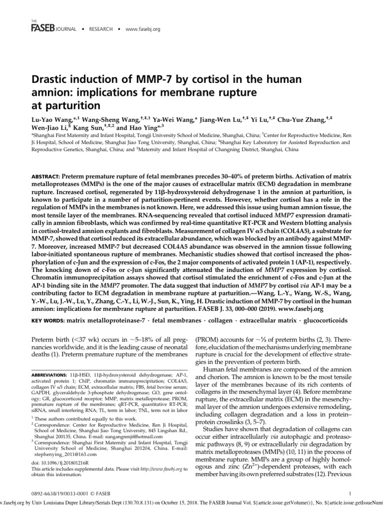Drastic Induction of MMP-7 by Cortisol in The Human | Download Free PDF | Gene Expression ...